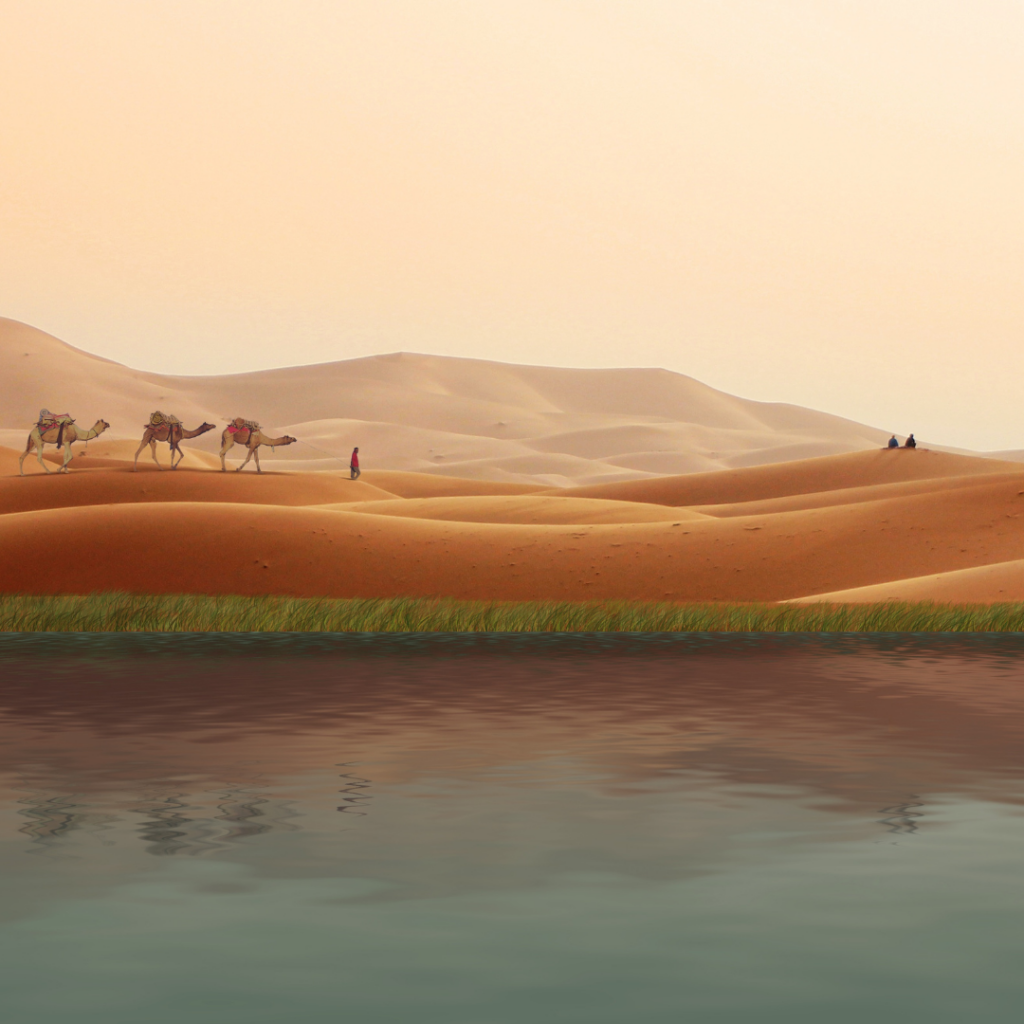 Navigating the OASIS+ Solicitation: Strategies for Successful Proposal Submission (Leverage the ...