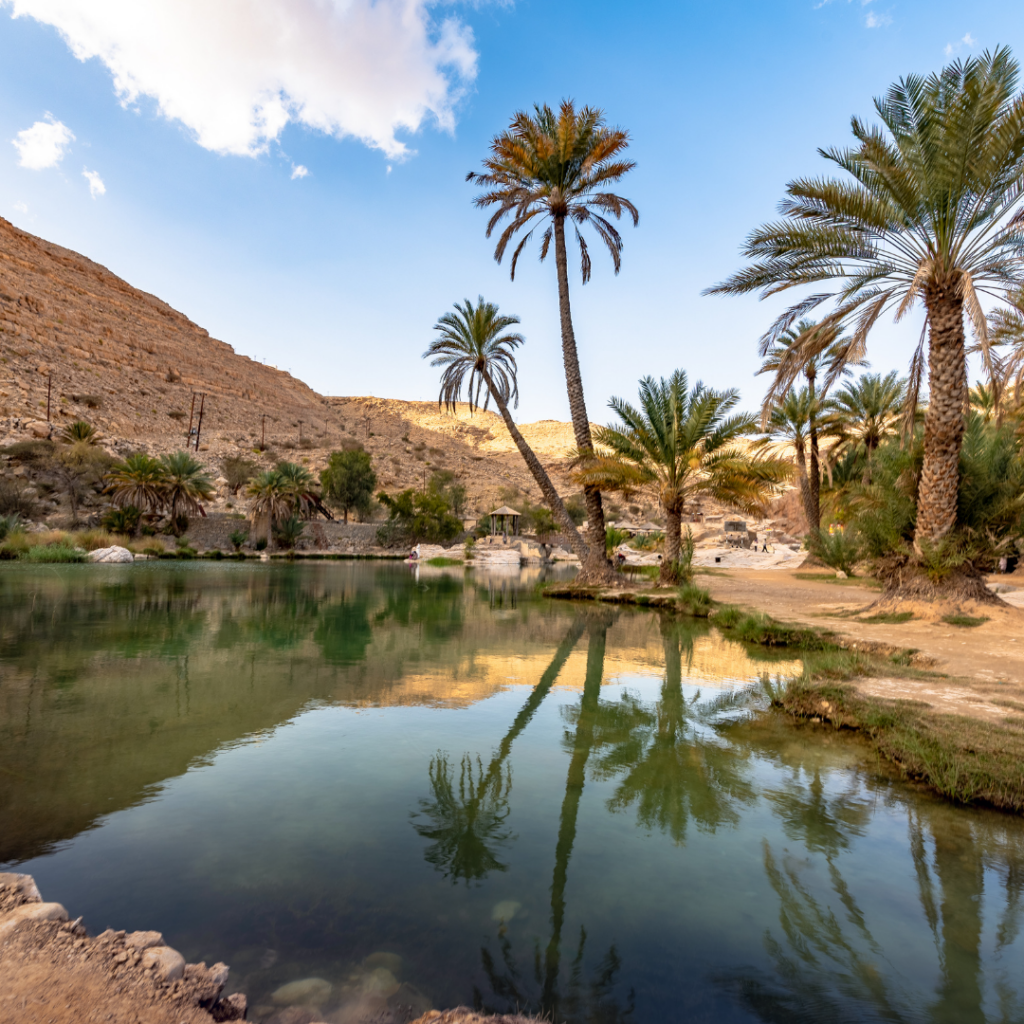 Seize OASIS+ Opportunities in 2025 Now | Lohfeld