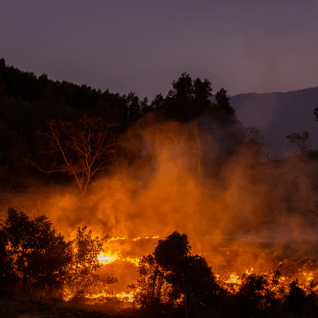 FEMA’s C3MP: Modernizing Disaster Communications Now | Lohfeld